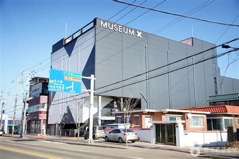 뮤지엄엑스 문화 정보와 주변 관광 명소 및 근처 맛집 여행 정보