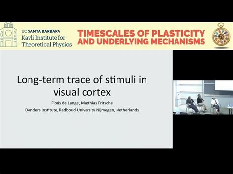 Free Video Perspectives And Discussion Behaviorally Relevant Synaptic Plasticity Rules From