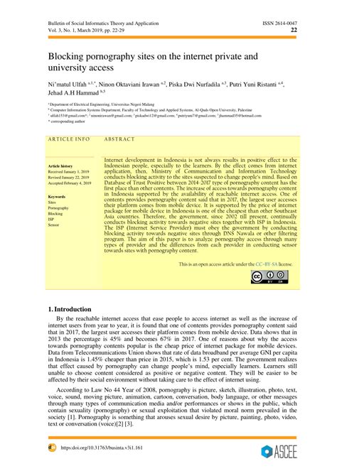 PDF Blocking Pornography Sites On The Internet Private And University Access