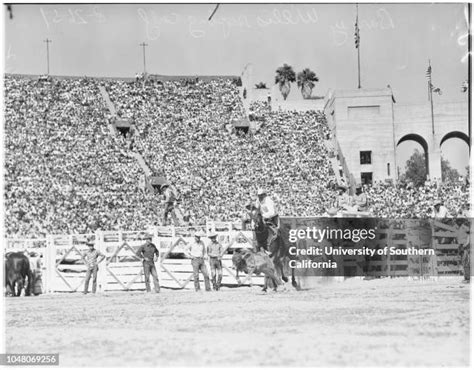 390 David Marshall Williams Photos And High Res Pictures Getty Images