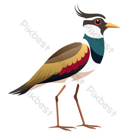 Lapwing Bird Side View Vector Art Illustration Png Images Eps Free
