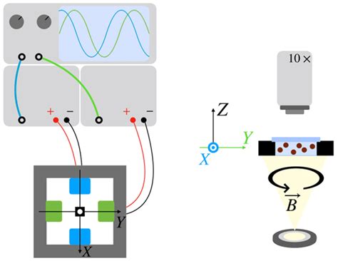 Representation Of The Experimental Setup A Signal Generator Provides Download Scientific
