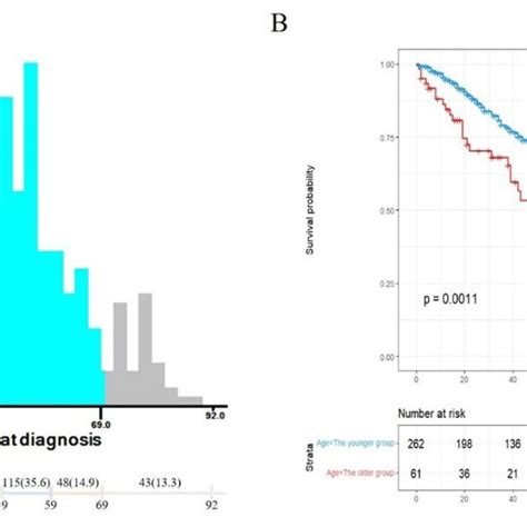 Identification Of The Best Cut Off Point Of Age A And Overall