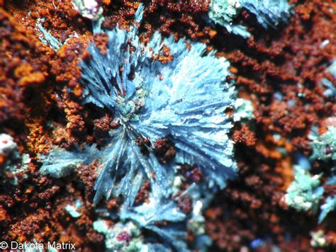 Langite Mineral Specimen For Sale