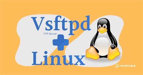 Come Configurare Ftp Su Un Server Linux Una Guida Passo Passo