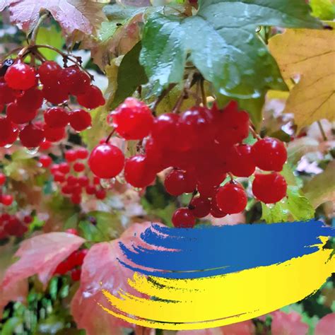 Просто закохана Коли літа летятьа не котяться хочеться нарешті