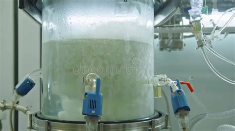 Industrial Fermentation Process In Bioreactor Demonstrating Fluid Dynamics And Stock Footage