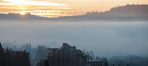 리조트 마을은 일출의 밝은 분홍색 하늘 아래 짙은 안개 낀 스프루 스 숲으로 덮여 안개 푸른 산 언덕의 배경에 건물 새벽에 산 풍경입니다 0명에 대한 스톡 사진 및 기타