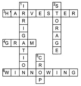 NCERT Solutions For Class 8 Science Crop Production And Management
