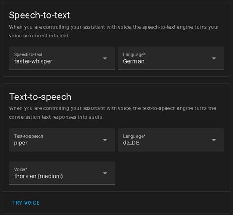 Error While Running Local Assist Pipeline Voice Assistant Home