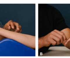 Kinesiology Ot Guide Ch4 Wrist 5 Fingers And Thumb Flashcards