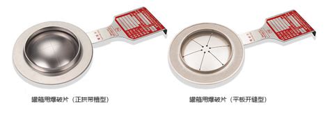 罐箱用爆破片 江西世纪行安全设备有限公司