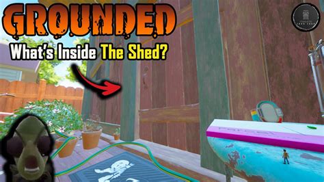 Where Is The Shed In Grounded