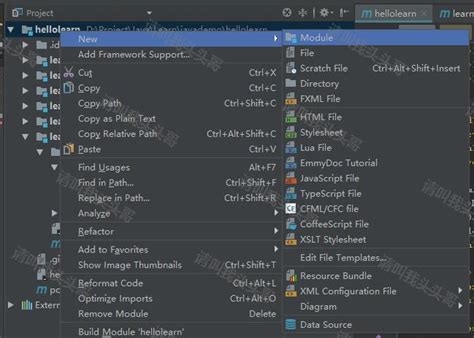 SpringBoot进阶教程 六十 intellij idea project下建多个module搭建架构 上 请叫我头头哥 博客园