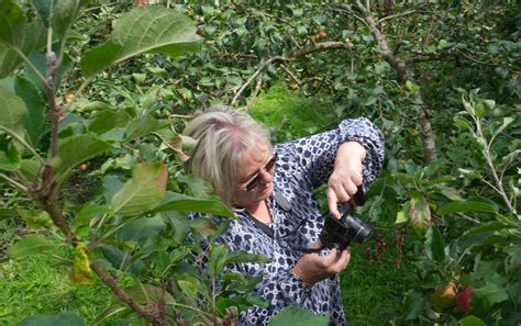 Diglis Islands Secrets Experience Canal And River Trust