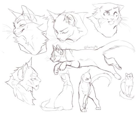 Cat Pose Drawing Reference At Kiara Male Blog