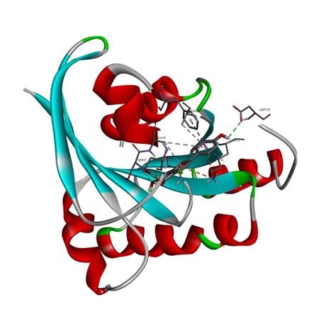 Services Dawn Of Bioinformatics Bioinformatics Services Genomics Proteomics Rnaseq