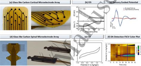 Glass Like Carbon Microelectrode Array For A Cortical Evoked