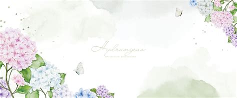 Horizontal Background With Colorful Hydrangea Butterflies And Stains 32835256 Vector Art At