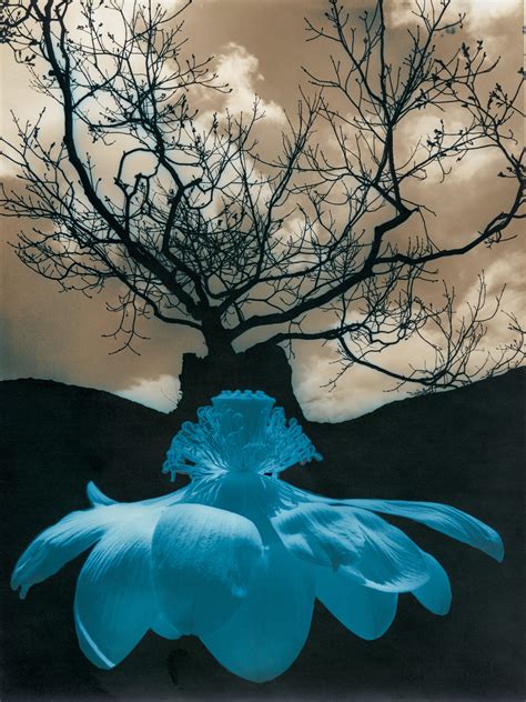 Jerry Uelsmann The Artist Who Turned Photography Upside Down