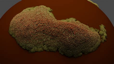 Control Voronoi Distribution Cell Size With Second Texture Materials And Textures Blender