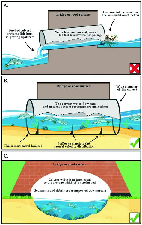 Migration Stream Definition