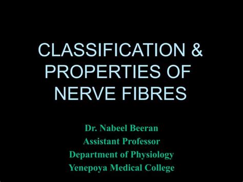 2 Classification A Properties Of Nerve Fibrespptx
