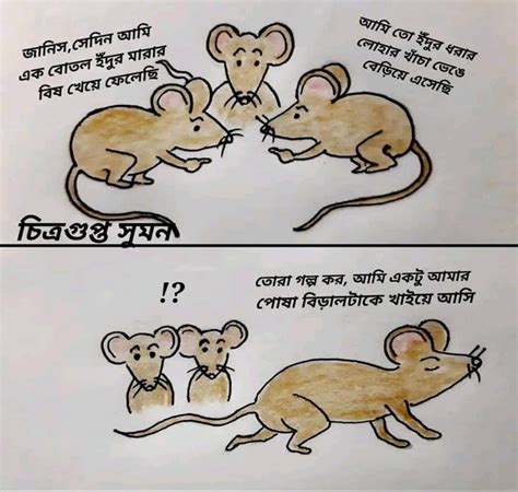 Pussy Cat R Enayet Chowdhury