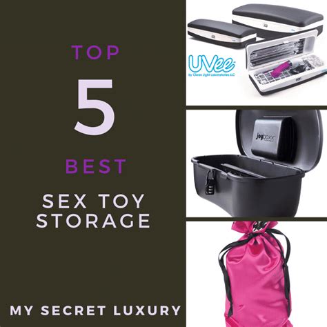 Top 5 Best Sex Toy Storage In 2024 My Secret Luxury