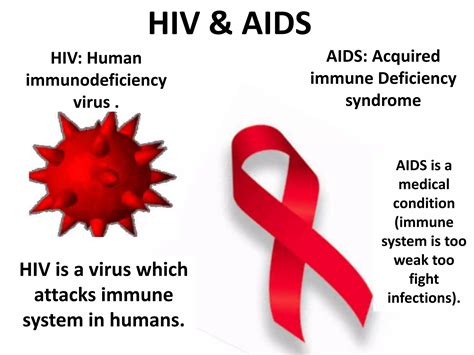 Hiv Aids Project Pptx
