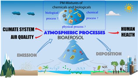 北京大学环境科学与工程学院