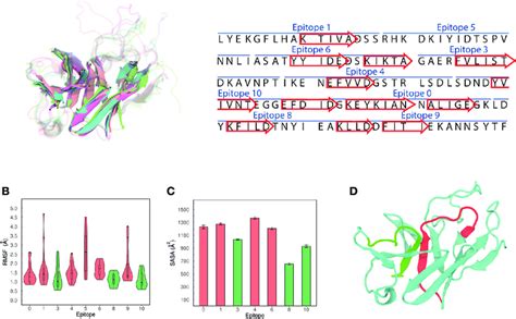 Structural Characteristics Of Mep 12 A Alignment Of The 3d Download Scientific Diagram