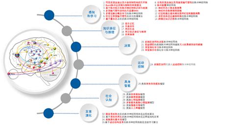类脑认知智能引擎 智脉”，打造通用人工智能研发开源开放平台 智源社区