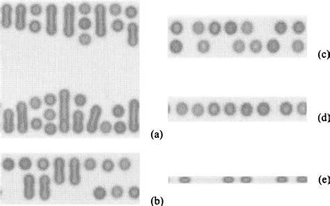 Morphologies Of The Asymmetric Ab Diblock Copolymers In Selective