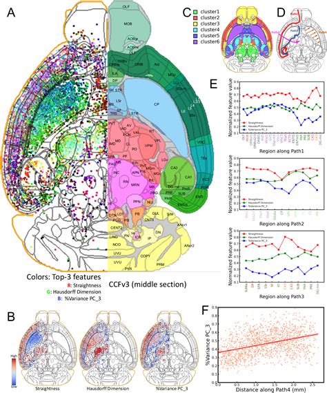 Figure 1 From Full Spectrum Neuronal Diversity And Stereotypy Through