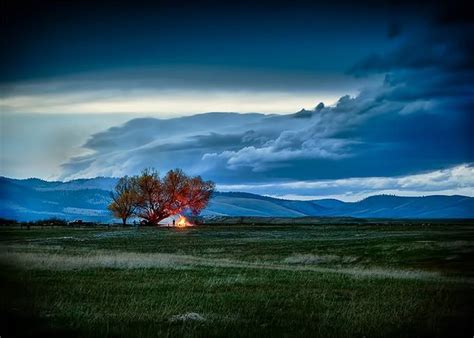 35 Cool Photos Showing Inspiring Trees You Must See