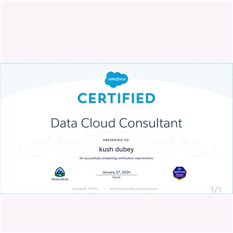 Kush Dubey On Linkedin Salesforcemarketingcloud Salesforce 28 Comments