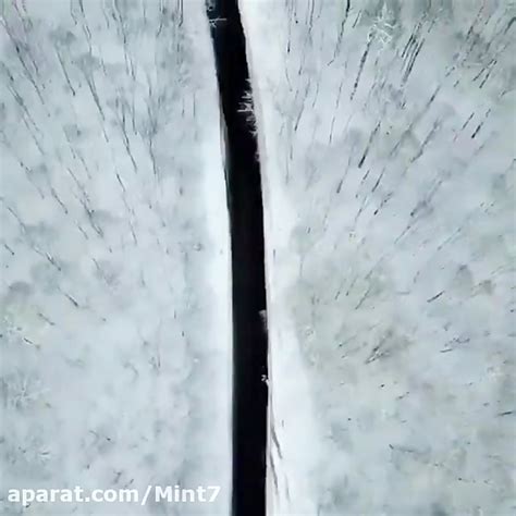 تصاویر هوایی از جنگل‌های اسالم خلخال بعد از برف اخیر عاليه