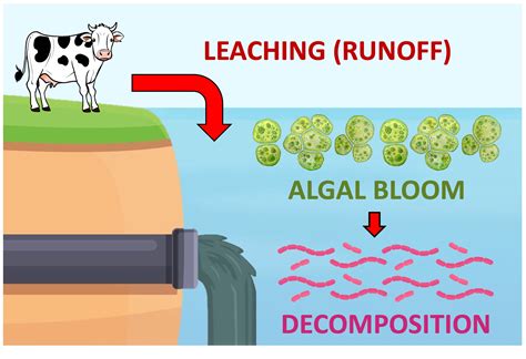Eutrophication