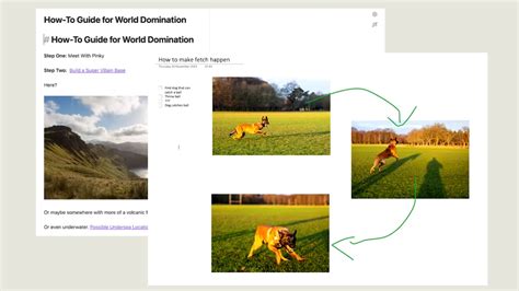 Digital Garden How To Set Up Your Own Digital Garden In 2024