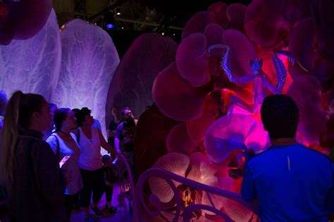 The Bug Lab Gallery Wētā Workshop The Bug Lab Gallery Wētā Workshop