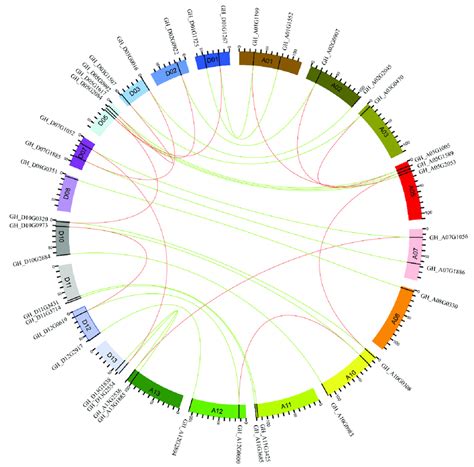 Chromosomal Distribution And Collinearity Of Cooon Wox Genes Indicated