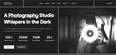 develop professional website using html css javascript by kishan 79
