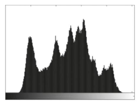 Plaintext And Ciphertext Histograms Download Scientific Diagram