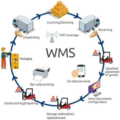 Warehouse Management Systeme Damit Läufts Im Lager