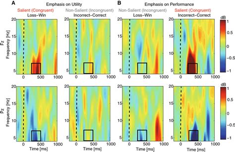results for time frequency analysis from experiment 2 time frequency