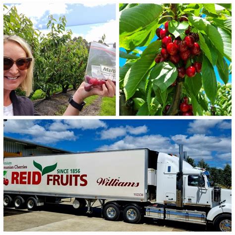 Cameron Scadding On Linkedin These Posts From The Team Are Some Of My Favourite Seeing The