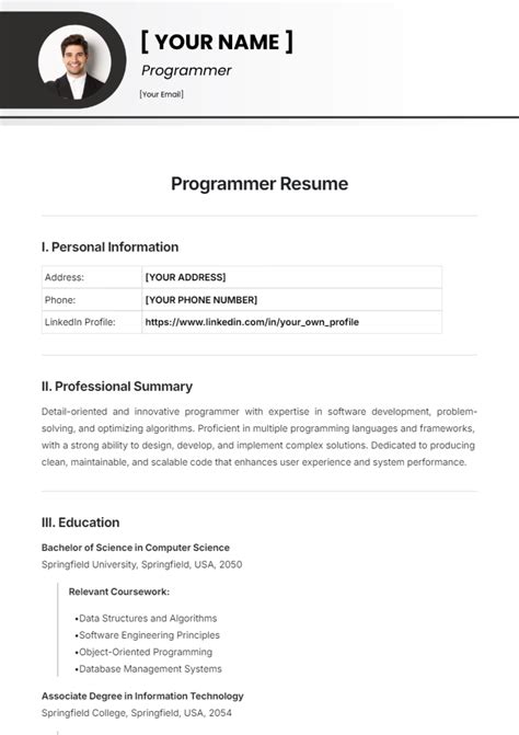 Programmer Resume Template Kickresume