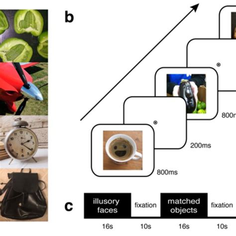 Representational Similarity Analysis A Dissimilarity Matrix Showing