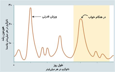 انواع هورمون ها در بدن و عملکرد آن ها به زبان ساده فرادرس مجله‌